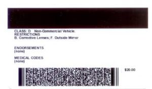 Arkansas Drivers License Template – PSD Photoshop File