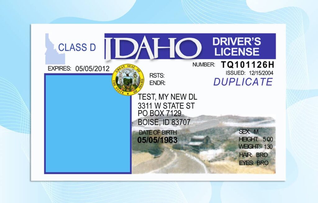 Driver License Template - Editable PSD Templates