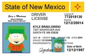 New Mexico Drivers License Template – PSD Photoshop File