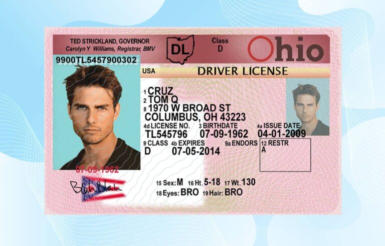 Ohio Drivers License Template – PSD Photoshop File