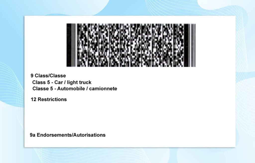 Driver License Template - Editable PSD Templates