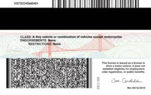 California Drivers License Template (V 1) – PSD Photoshop File