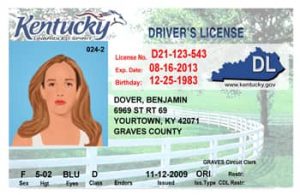 Kentucky Drivers License Template – PSD Photoshop File