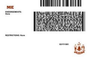 Maine Drivers License Template – PSD Photoshop File