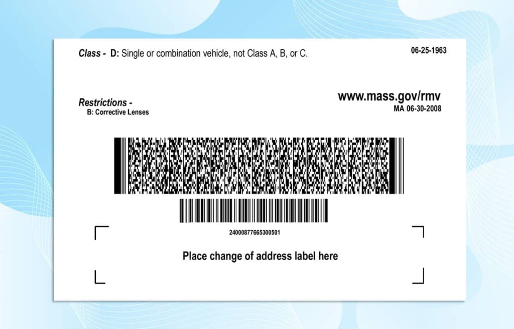 Massachusetts Drivers License Template – PSD Photoshop File