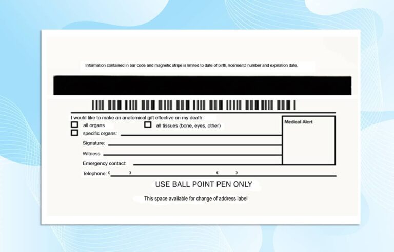 Michigan Drivers License Template – PSD Photoshop File