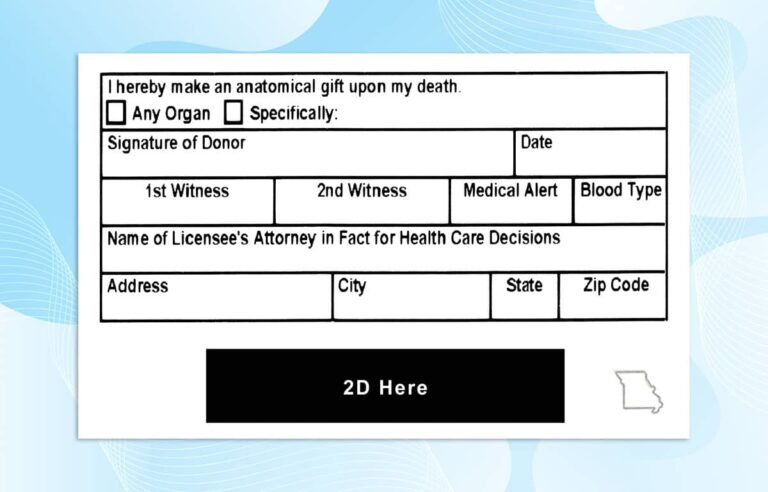 Missouri Drivers License Template – PSD Photoshop File