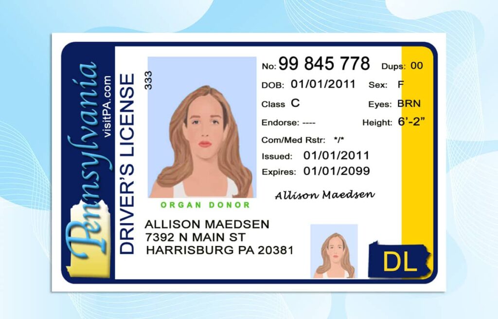 Pennsylvania Drivers License Template – PSD Photoshop File