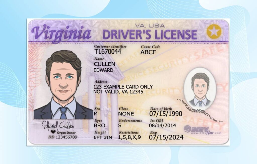 Virginia Drivers License Template (New Edition) – PSD Photoshop File