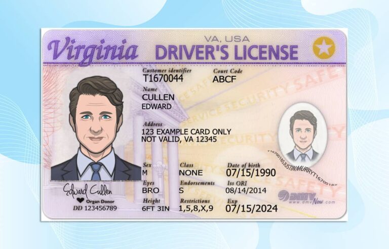 Virginia Drivers License Template (New Edition) – PSD Photoshop File