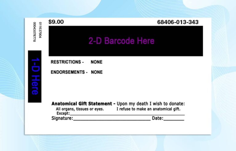 Wisconsin Drivers License Template – PSD Photoshop File