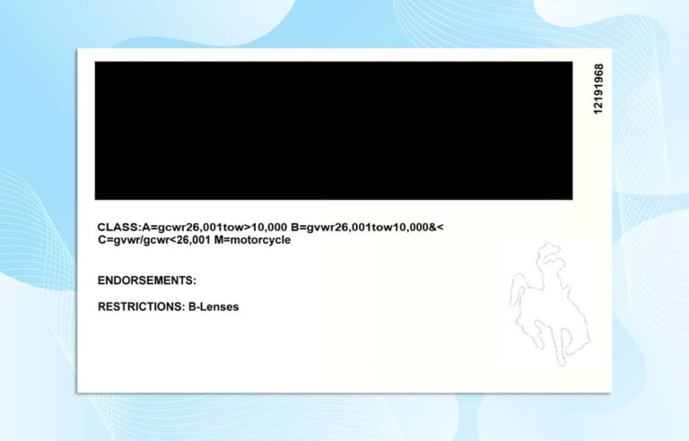 Wyoming Drivers License Template – PSD Photoshop File