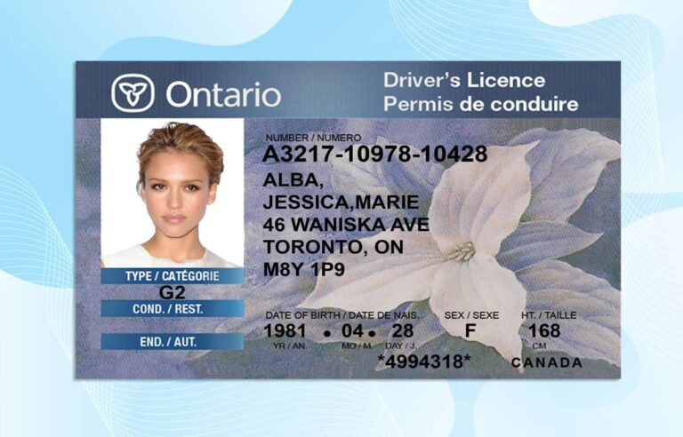 Canada Ontario Driver License Template (V2010) – PSD Photoshop File