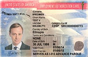 USA Employment Authorization Card Template – PSD File