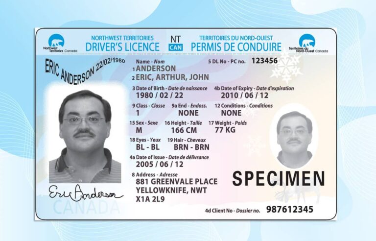 Driver License Template - Editable PSD Templates
