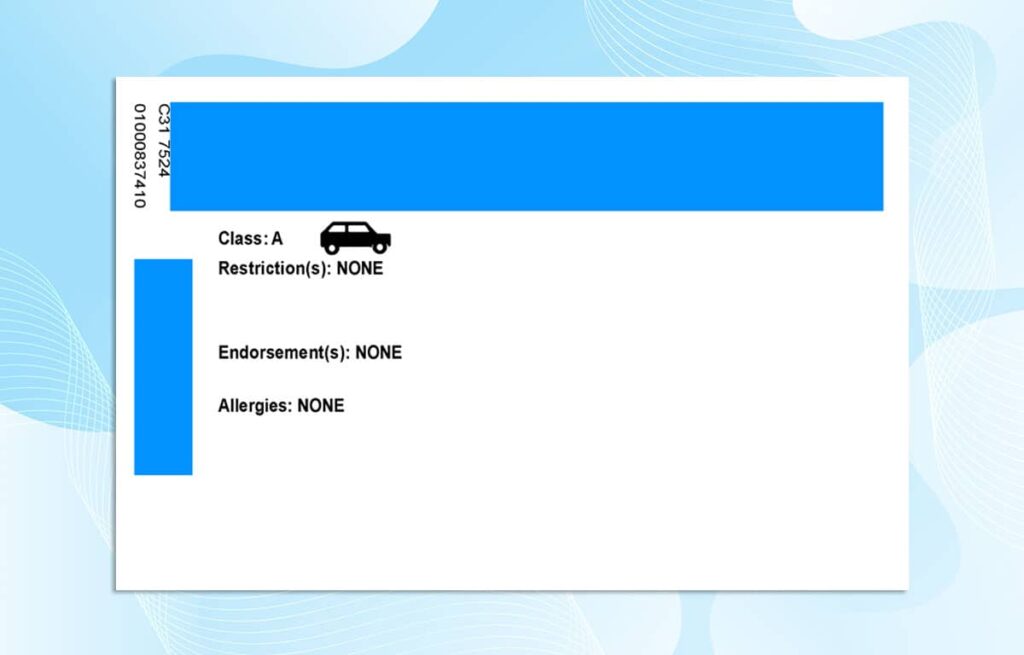 Virgin Islands Driver License Template – PSD Photoshop File