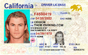 California Drivers License Template (V 1) – PSD Photoshop File