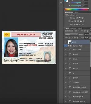 New Mexico Drivers License Template (New Edition) – PSD File