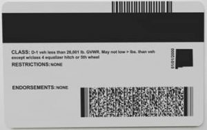 New Mexico Drivers License Template (New Edition) – PSD File