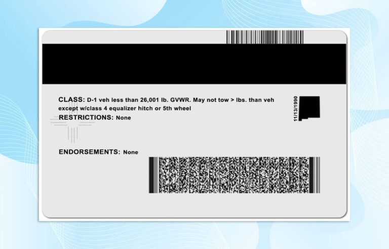 New Mexico Drivers License Template (New Edition) – PSD File