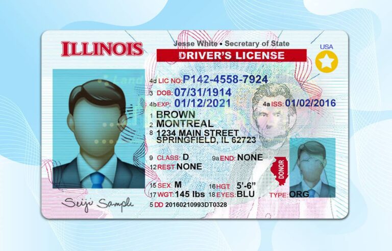 Illinois Drivers License Template (New Edition) – PSD Photoshop File