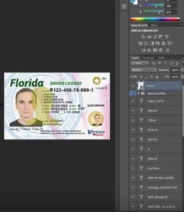 Florida Drivers License Template (New Edition) – PSD Photoshop File