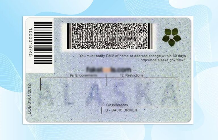 Driver License Template - Editable PSD Templates