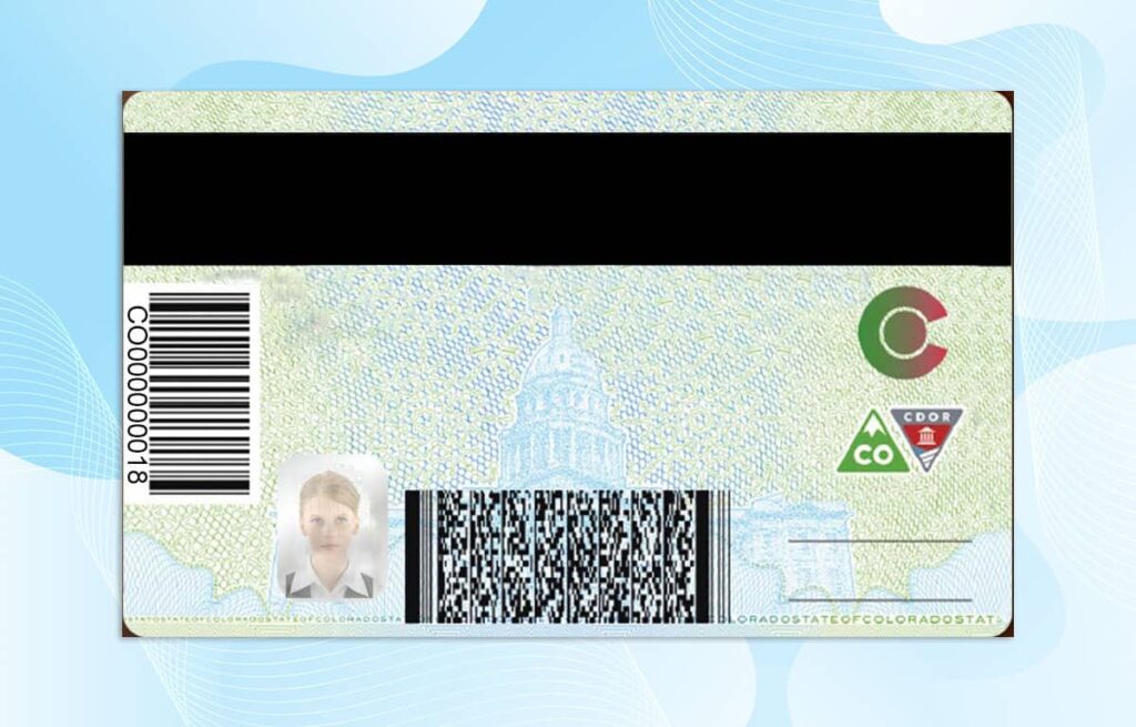 Colorado Drivers License Template (New Edition) – Photoshop File