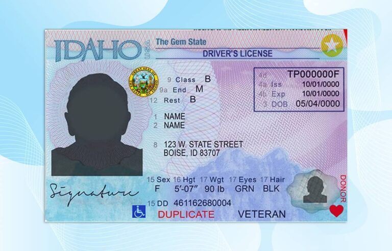 Idaho Drivers License Template (New Edition) – PSD Photoshop File
