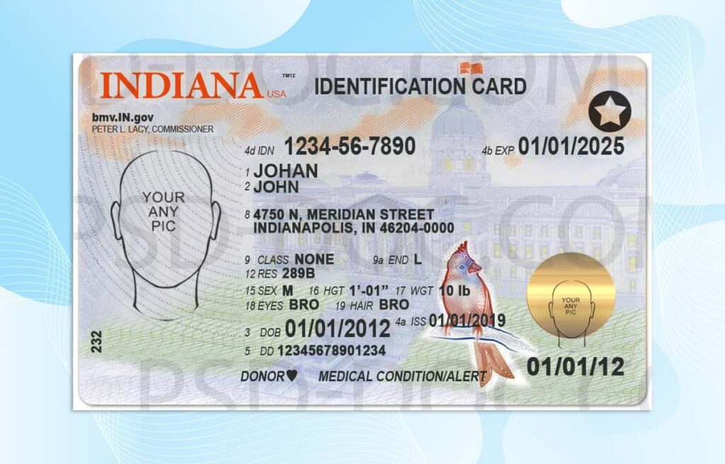 Indiana Drivers License Template (New Edition) – Photoshop File