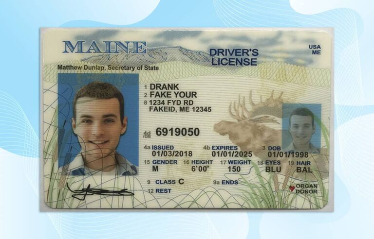 Maine Drivers License Template (New Edition) – Photoshop File