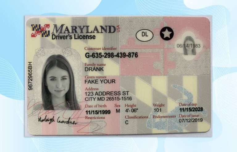 Maryland Drivers License Template (New Edition) – Photoshop File