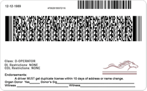 Kentucky Drivers License Template (New Edition) – Photoshop File