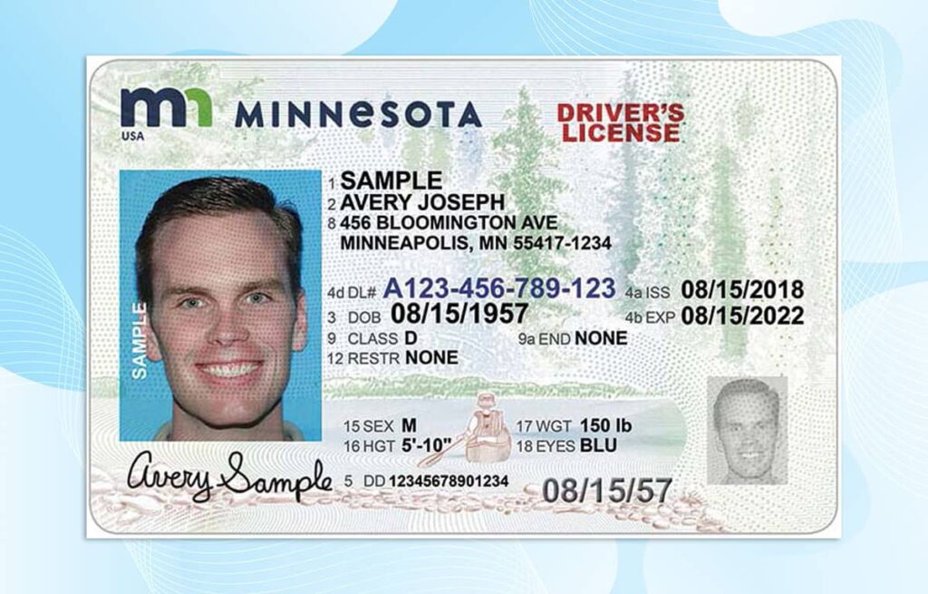 Minnesota Drivers License Template (New Edition) – Photoshop File
