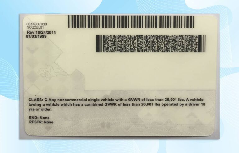 North Carolina Drivers License Template (New Edition) – Photoshop File