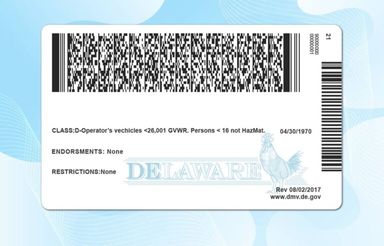 Delaware Drivers License Template (New) – PSD Photoshop File