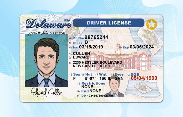 Delaware Drivers License Template (New) – PSD Photoshop File